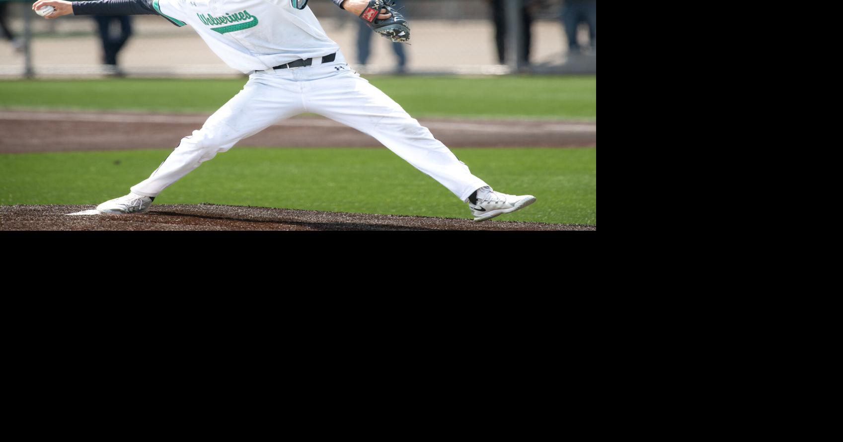 Rock Ridge Section 7AA Baseball | Gallery | mesabitribune.com