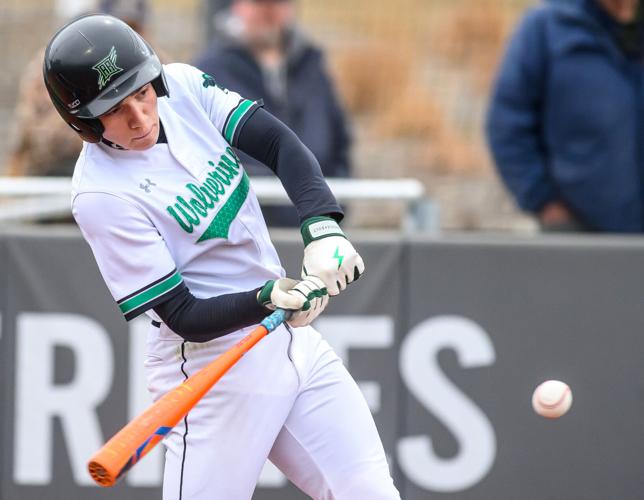 Rock Ridge-Hermantown Baseball | Gallery | mesabitribune.com