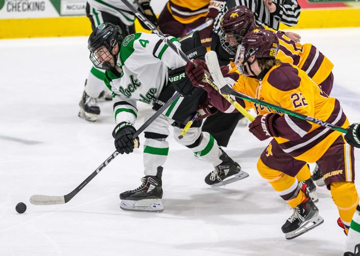 Rock Ridge-Forest Lake Hockey | Gallery | mesabitribune.com