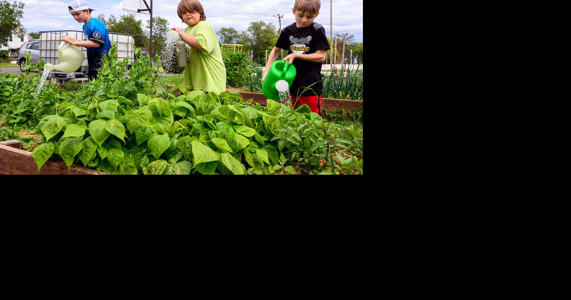 Community Garden Helpers | News | mesabitribune.com