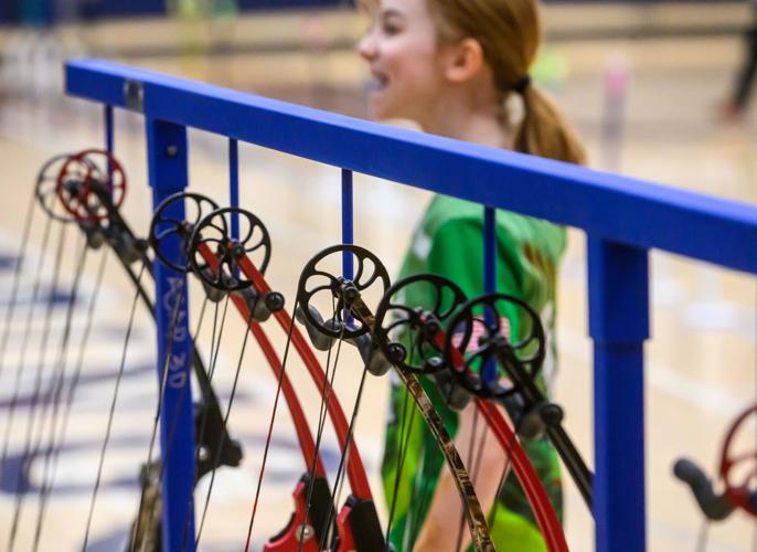 3D Archery | Gallery | mesabitribune.com