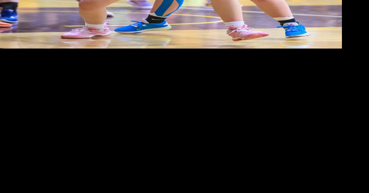 Mesabi East-Marshall Section 7AA Girls Basketball | Gallery | mesabitribune.com