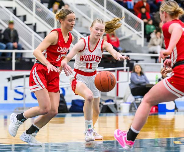 Cardinals eliminate Wolves, 57-32 | Sports | mesabitribune.com