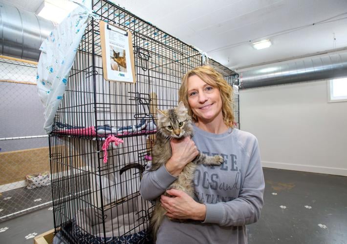 Precious Paws Humane Society | News | mesabitribune.com