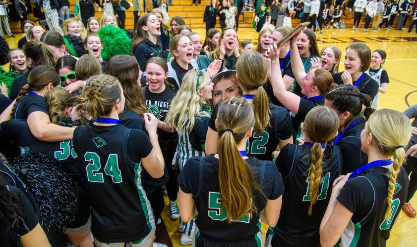 Wolverines repeat as 7AAA champs, 74-54 | Sports | mesabitribune.com