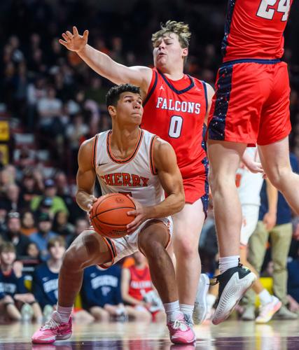Cherry State Championship | Gallery | mesabitribune.com