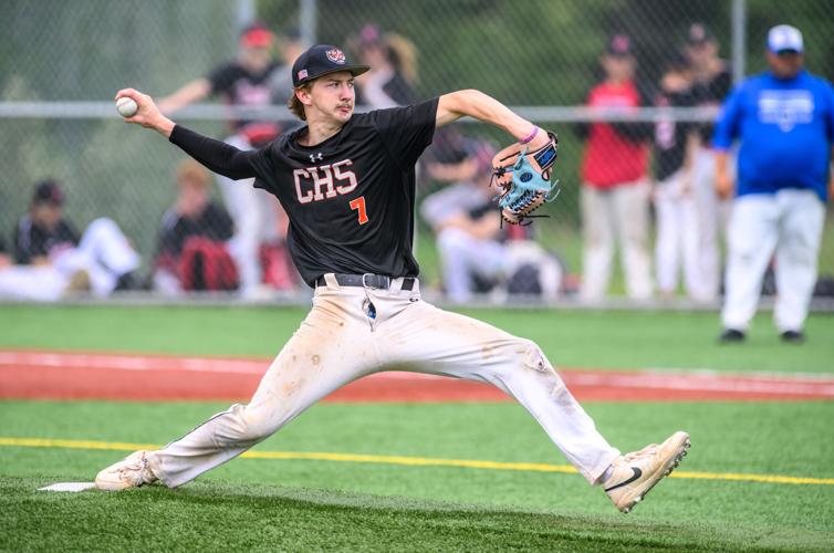 Tigers exact some revenge on Panthers | Sports | mesabitribune.com