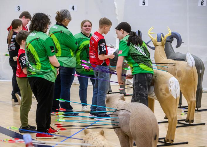 3D Archery | Gallery | mesabitribune.com