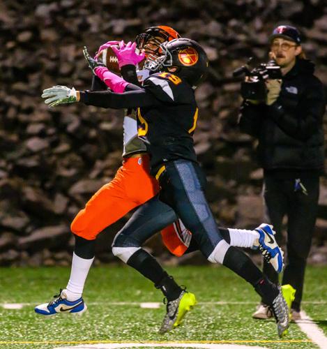 Stevenson takes the reins as Tigers chase Rangers | Sports ...