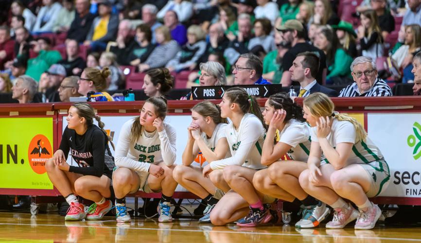 Wolverines fall to Cardinals in state quarterfinals, 67-50 | Sports ...