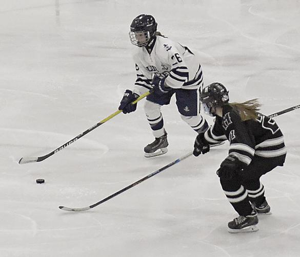 Minneapolis Area blanks Bluejackets, 2-0 | Sports | mesabitribune.com