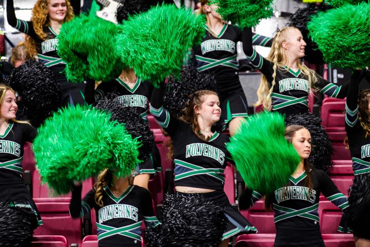 Rock Ridge 2025 State Tournament | Gallery | mesabitribune.com