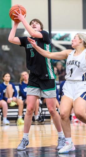 Lamppa passes 1,000 points as Wolverines cage Hawks | Sports ...