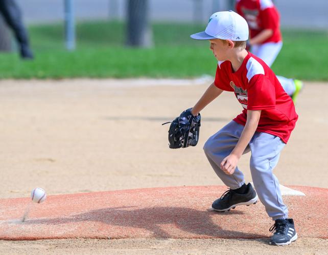 Baseball Fever | Gallery | mesabitribune.com