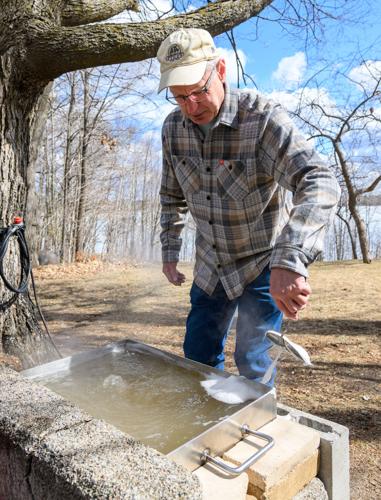 Maple syrup season is 'the sweetest time of year' | Local ...