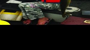 BOWSTRING LAKE | News | mesabitribune.com