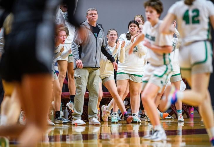 Wolverines fall to Cardinals in state quarterfinals, 67-50 | Sports ...