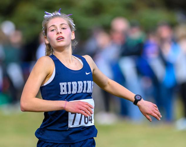 HHS girl harriers make it four titles in a row | Sports | mesabitribune.com