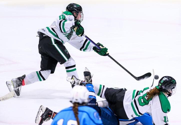 Rock Ridge-Superior Girls Hockey | Gallery | mesabitribune.com