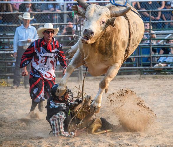 Bull Riding | Gallery | mesabitribune.com