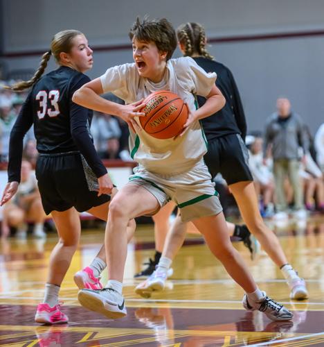 Wolverines fall to Cardinals in state quarterfinals, 67-50 | Sports ...