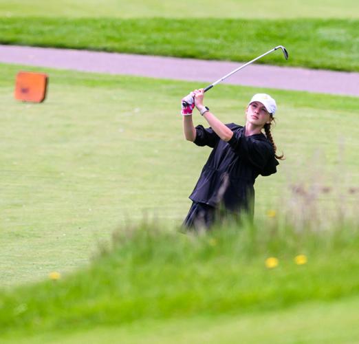 Wolverines repeat as 7AA golf champs | Sports | mesabitribune.com