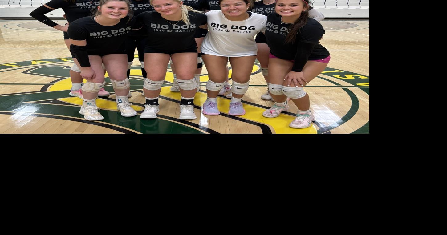 Big Dog All-Star volleyball match set for Sunday | Sports ...