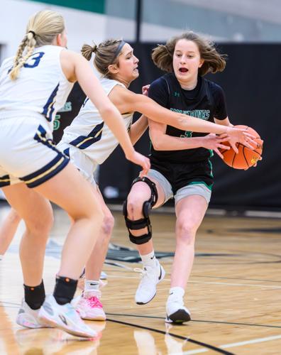 Lamppa passes 1,000 points as Wolverines cage Hawks | Sports ...