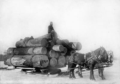 Who Was the Barn Boss? | Local | mesabitribune.com