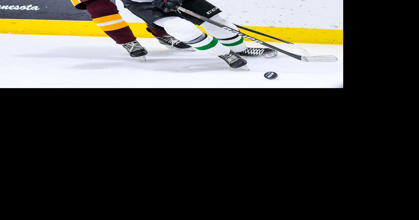 Rock Ridge-Denfeld Hockey | Gallery | mesabitribune.com