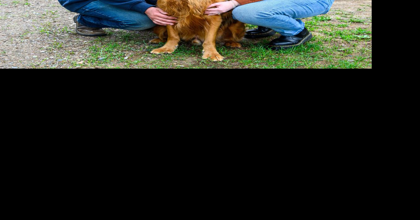 Reddogg Pet Resort fulfills longtime dream for its owners | Local | mesabitribune.com