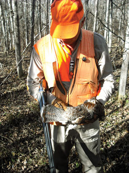 Who is Minnesota’s typical grouse hunter? | Featured | mesabitribune.com