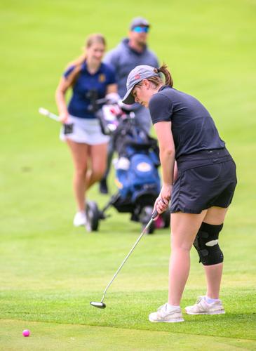 Wolverines repeat as 7AA golf champs | Sports | mesabitribune.com