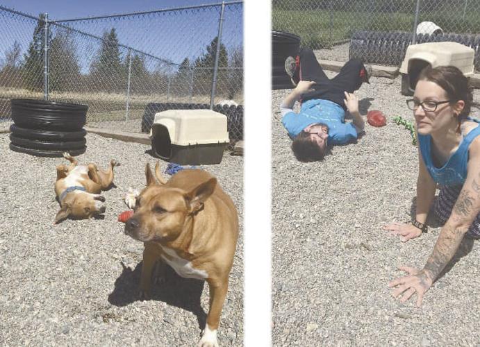 RRAR: Picture perfect parody | Local | mesabitribune.com