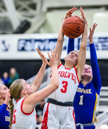 Ely-Bigfork Section 7A Quarterfinal Basketball | Gallery ...