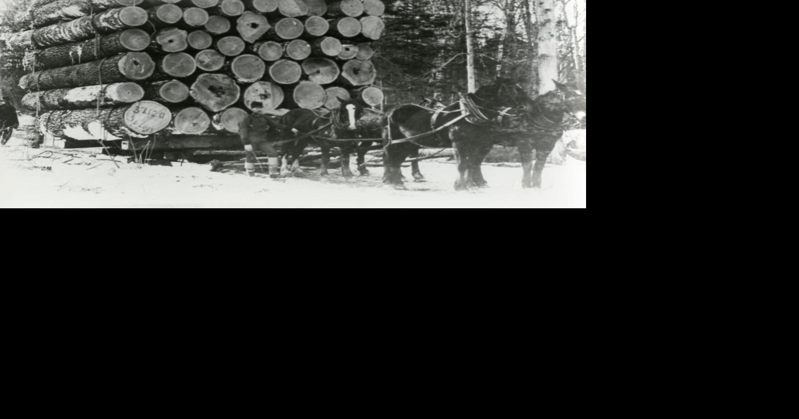 Look At That Big Load of Logs! | Community | mesabitribune.com