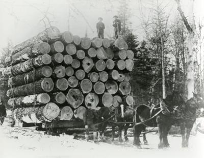 Look At That Big Load of Logs! | Community | mesabitribune.com