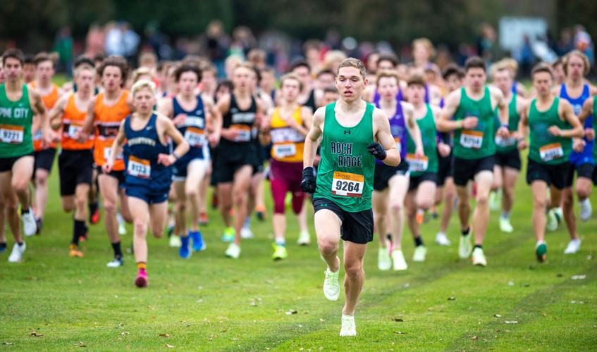 Rock Ridge, Stocke dominant; Wolverines make it back to back Section ...