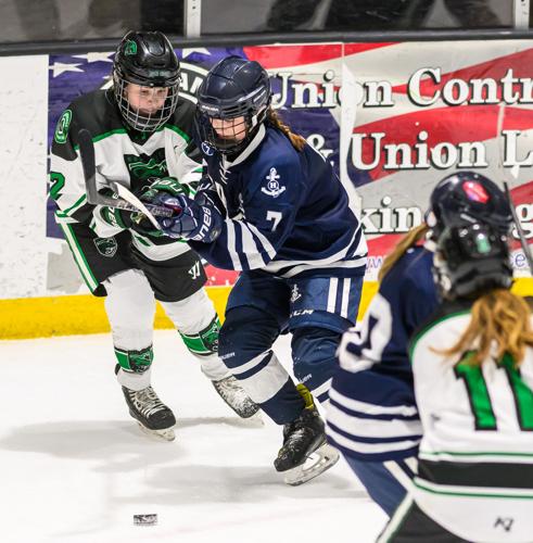 Rock Ridge-Hibbing Section 7A Quarterfinal Girls Hockey | Gallery ...