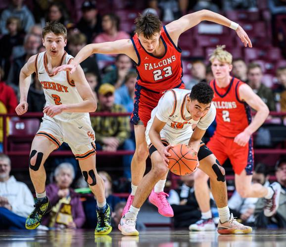 Tigers win State Class A title | Sports | mesabitribune.com