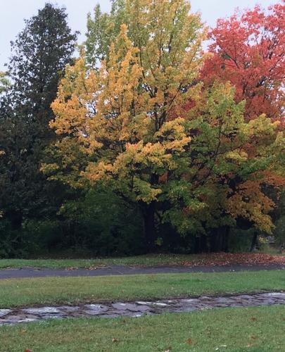 The fleeting autumn and a trip to Hopkins Park | Columnists ...