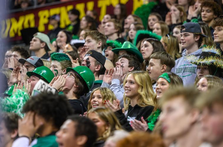 Wolverines come up short in 7AA final, 3-1 | Sports | mesabitribune.com