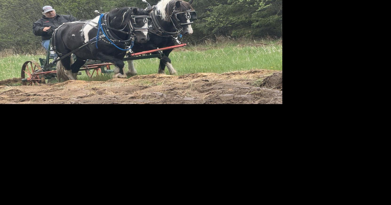 Experiencing an earlier era | Local | mesabitribune.com