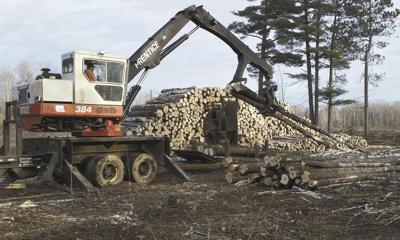 Loggers get a cut from federal relief program | News | mesabitribune.com