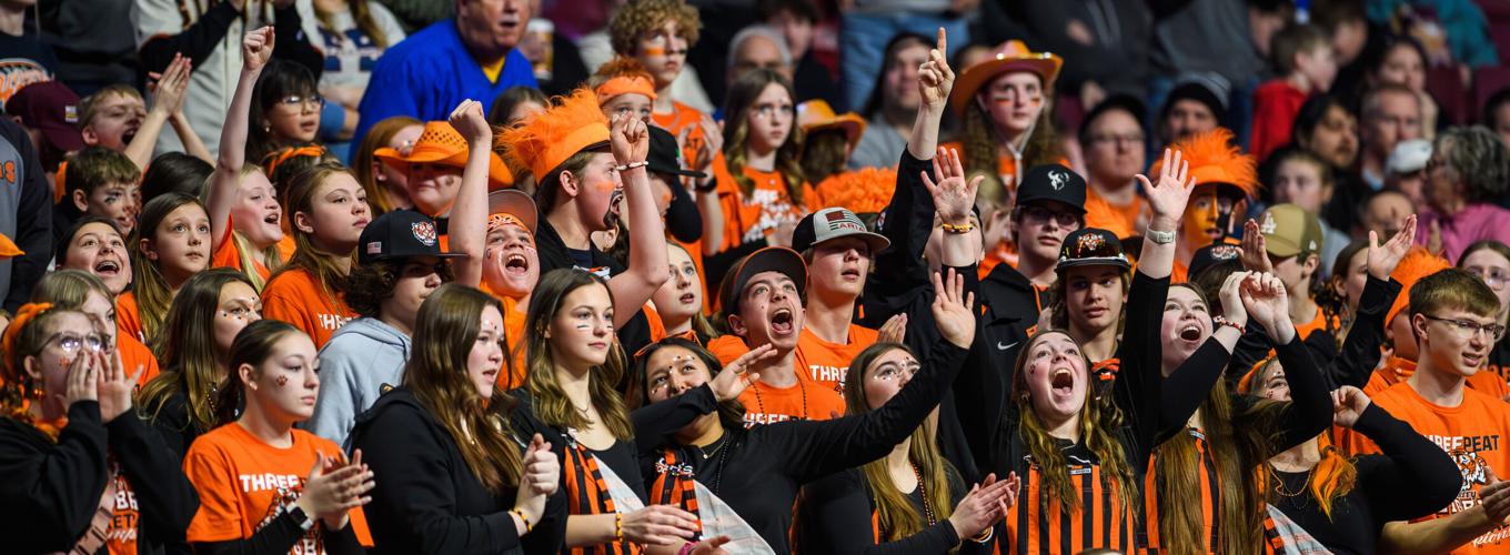 Tigers win State Class A title | Sports | mesabitribune.com