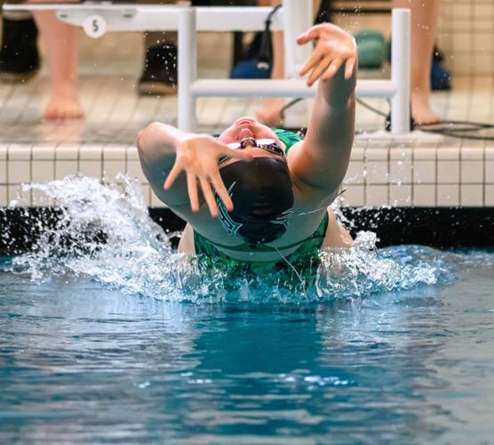 Wolverines capture IRC crown | Featured | mesabitribune.com
