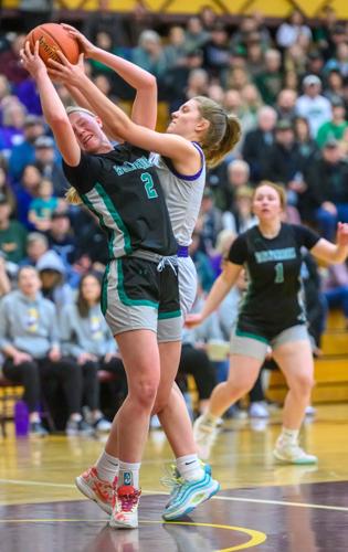 Wolverines take on Alexandria in state tourney debut | Sports ...