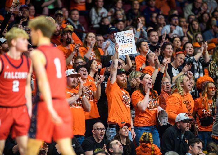 Tigers win State Class A title | Sports | mesabitribune.com