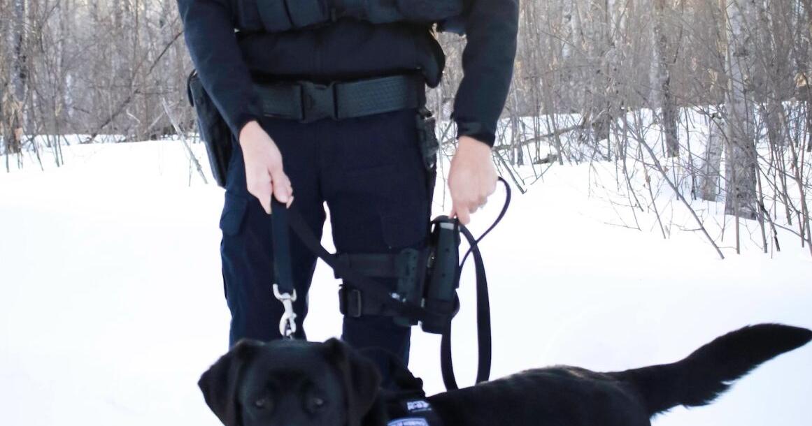 Northland K-9 Foundation expands to support Hibbing and Eveleth Police Department K-9 programs ...