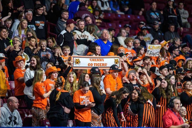 Tigers win State Class A title | Sports | mesabitribune.com